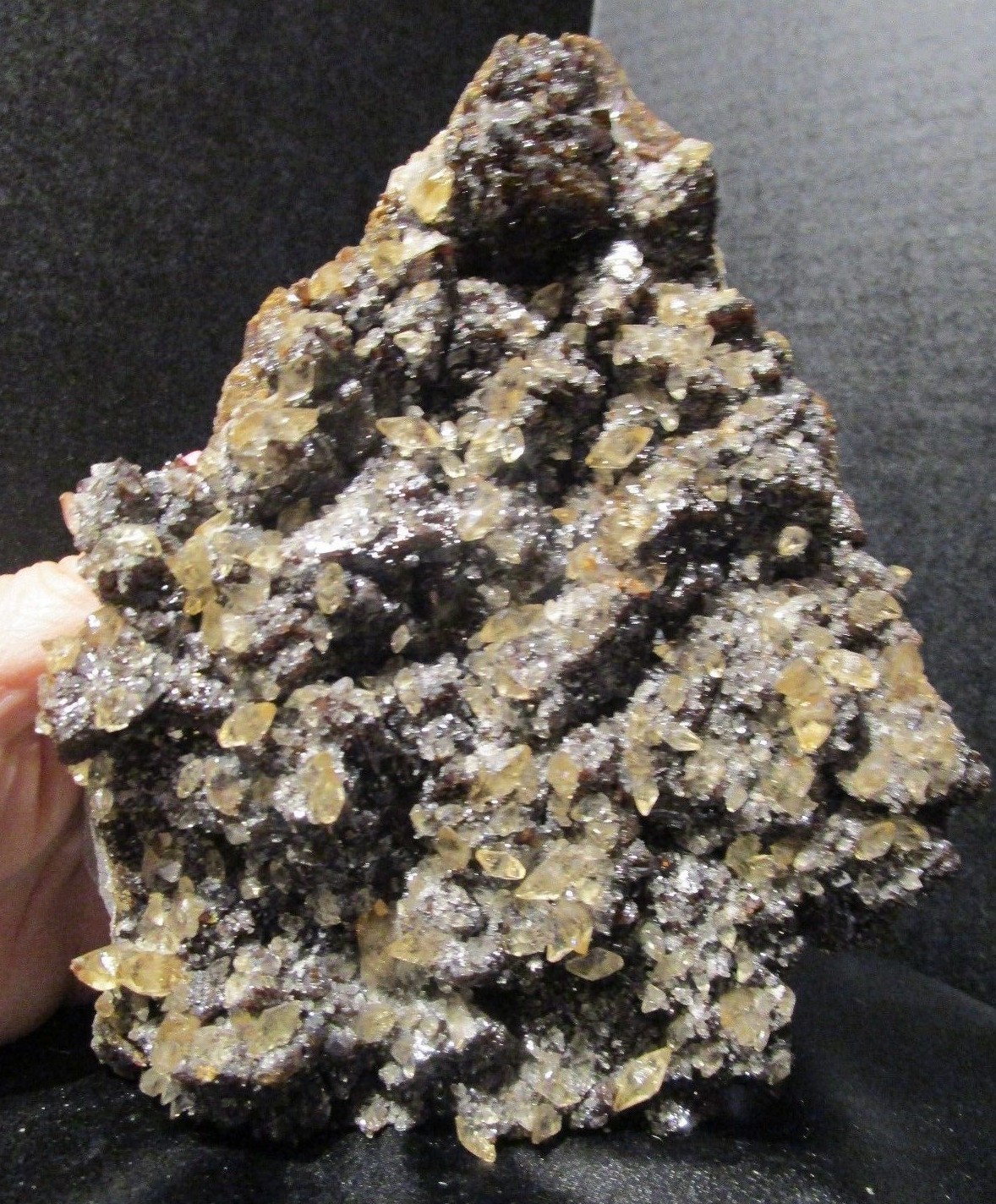 Yellow Scalenohedral Calcite Crystals Dot Chocolate Brown Sphalerite ...