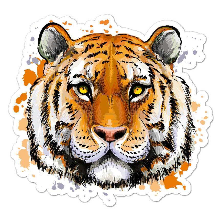 Tiger Head, Vinyl Decal Sticker, Indoor Outdoor, 3 Sizes, #8575 | eBay