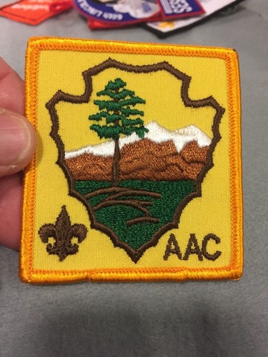 (b70) Boy Scouts - AAC Arrowhead patch | eBay