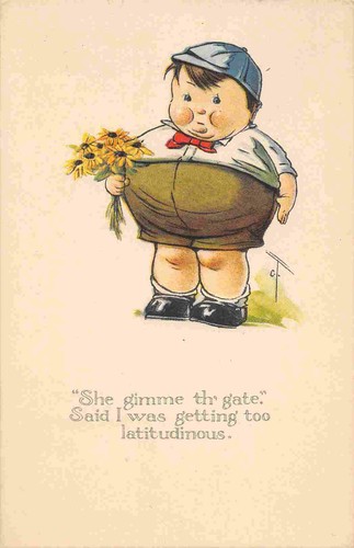 She Said I Was Getting Latitudinous Artist Charles Twelvetrees postcard ...