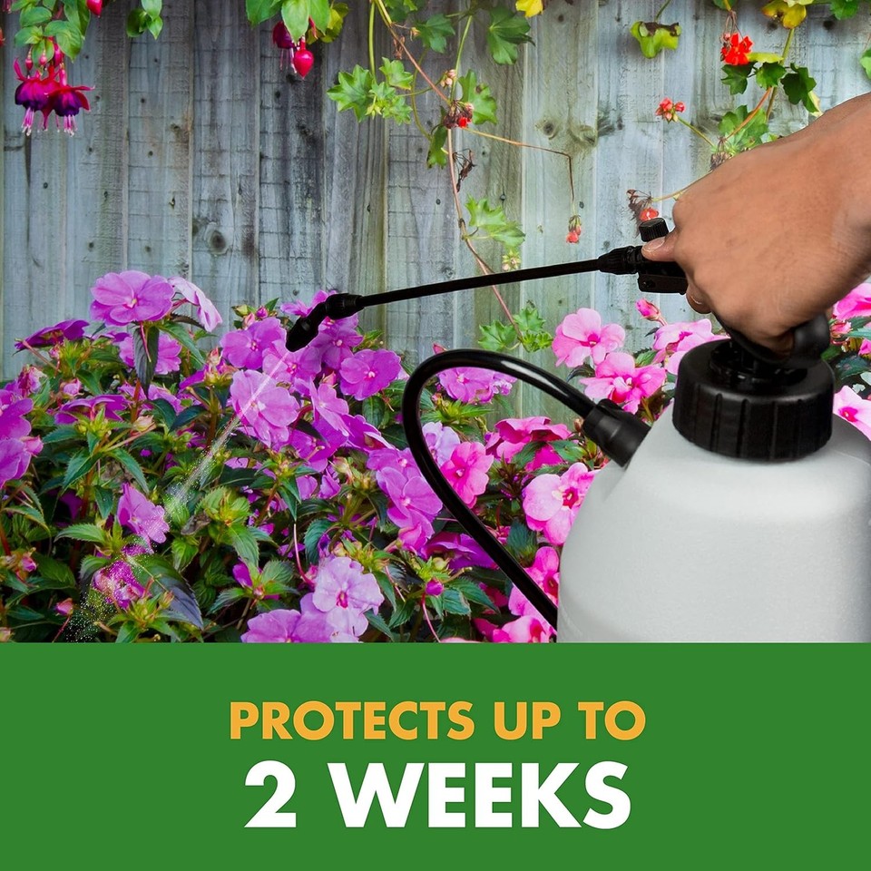 Spectracide Immunox Multi-Purpose Fungicide Spray Concentrate For ...