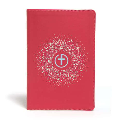 CSB One Big Story Bible, Pink Leathertouch by Csb Bibles by Holman: New ...
