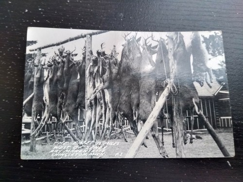 The Pines Seney Ray Marentette Shingleton MI Deer Hanging RPPC Photo ...