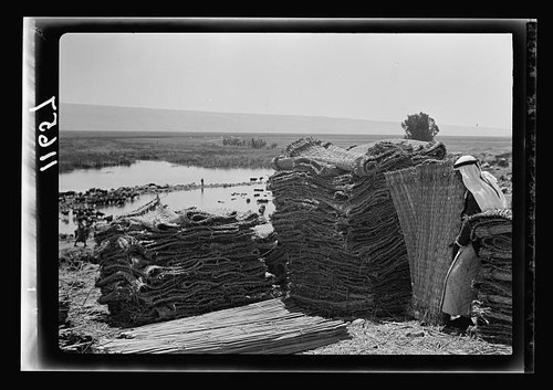 Galilee Trip,Huleh District,Lake Merom,Hula Valley,Israel,Middle East ...