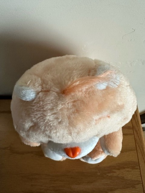 Care Bear Vintage 1980's Surprise, Sea Friend, Forest Friend, Harmony ...