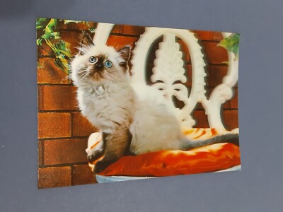 vintage German lenticular cat kittens Toppan Top Stereo postcard | eBay