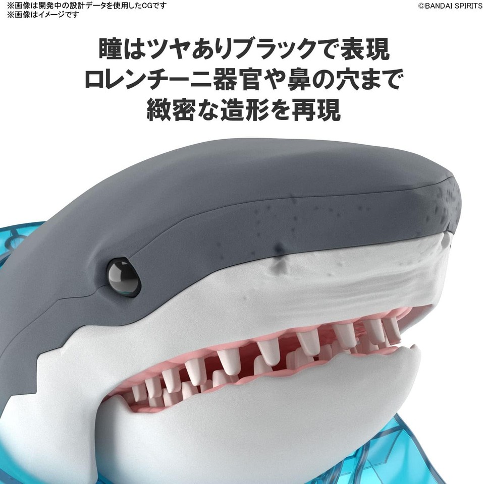 Exploring LAB Nature - Great White Shark - Model Kit (US IMPORT) | eBay UK