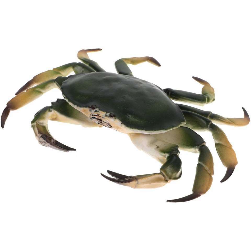 Simulation Realistic Crab Model Fake Crab Model Lifelike Simulated ...