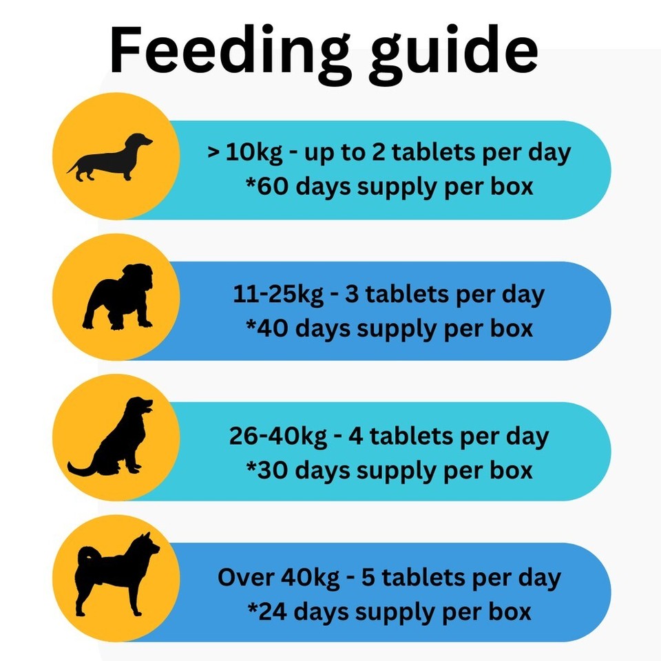 UTI Treatment For Dogs | Liver & Bladder Function | Incontinence | 120 ...