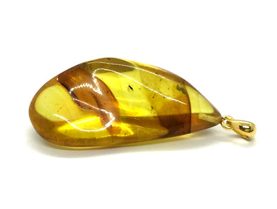 Amber Pendant With Insect Fossil Insects Inclusion Silver 925 Gold PL 7 ...