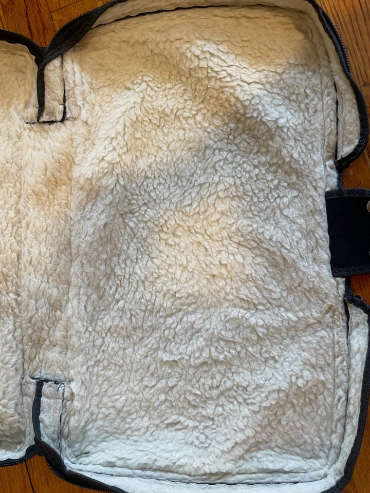 F. Loree double case for oboe & English horn with Loree case cover | eBay