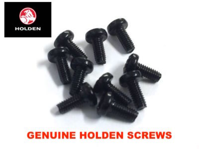 Genuine HOLDEN Remote Key Head Screws 10 Pack Suits Commodore VR VS VT ...