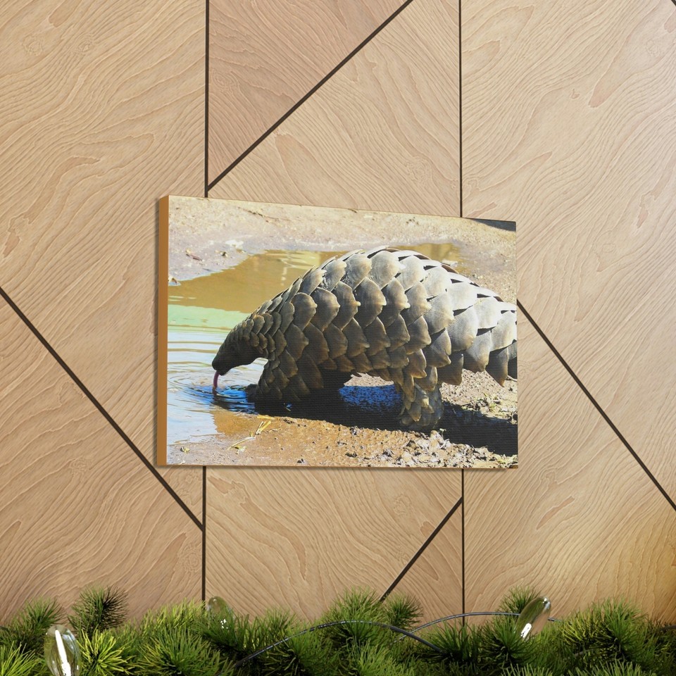 Funny Pangolin Silly African Tree Pangolin Outside Wall Art Ready to ...