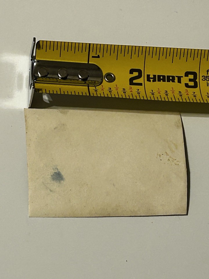 Young Navy Sailor WWII Photo Booth Silly Handsome Guy Man Military Word ...