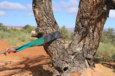 Tree Saver Tow Strap - 8' Length 4" Width Offroad 4x4 Winch - 10k LBS ...