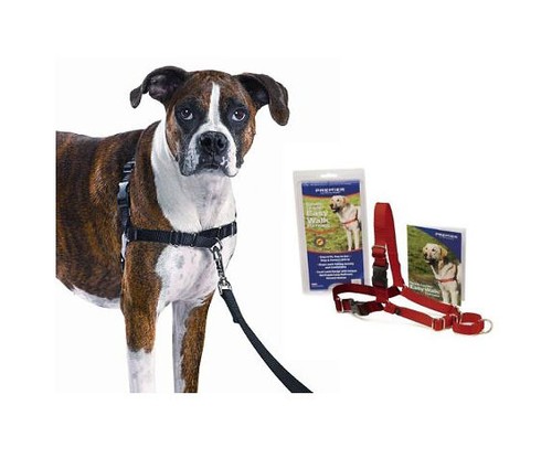 What Dogs Use Easy Walk And Gentle Leader