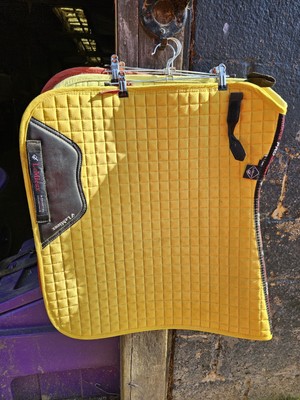 Lemieux Dijon L Dressage | eBay UK