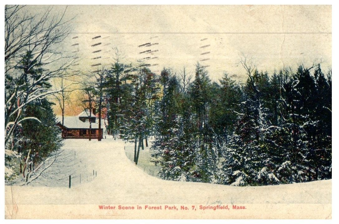 Springfield Massachusetts Snow Winter Scene In Forest Park Springfield