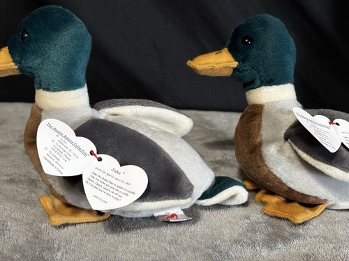 Ty Jake the Mallard Duck Plush Toy XXRARE FIND Investment Multi Tag ...