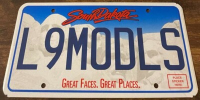 L9MODLS Vanity License Plate L9 Models South Dakota Li Auto L9 MOD LS ...