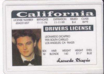 Leonardo DiCaprio novelty Drivers License - fake identification I.D ...