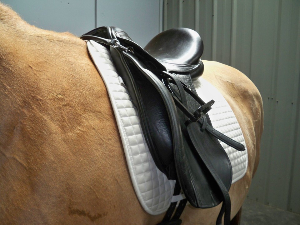 County Dressage Saddle - model Connection, wide tree | eBay