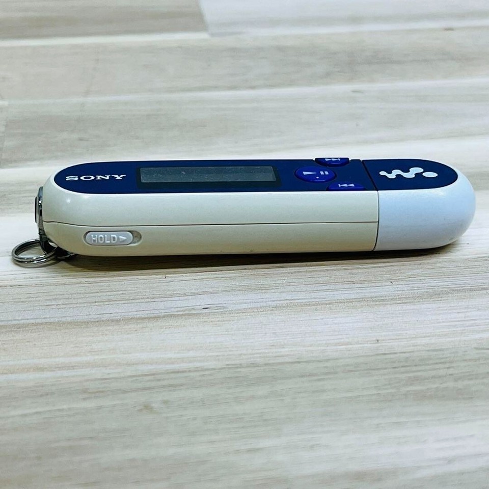 SONY Walkman NW-E042 MP3 Player Blue/white Good | eBay