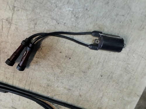 TRIUMPH BONNEVILLE T100 SE. IGNITION COILS 'FREE POST ' # T380-T23 | eBay