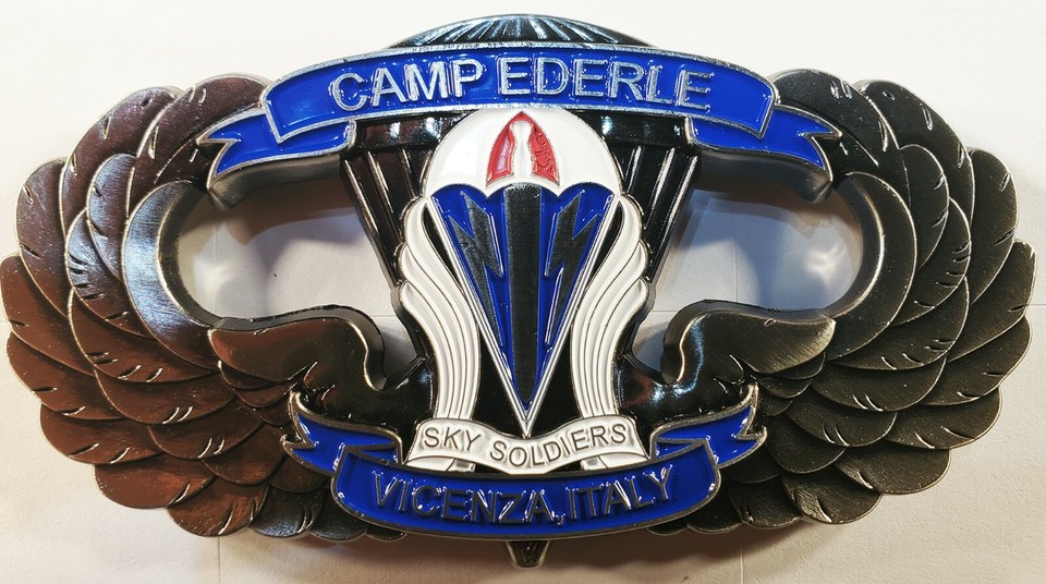 173rd Airborne Brigade Sky Soldiers US Army Challenge Coin 4" 159 | eBay