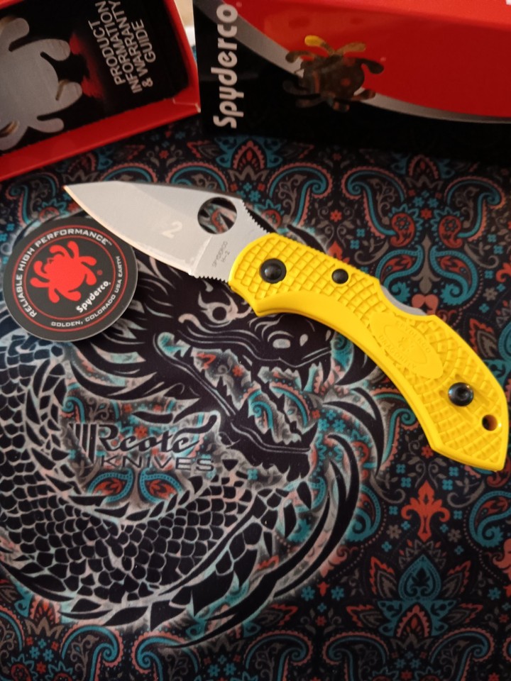 Spyderco Dragonfly 2 Lightweight Salt Folding Knife - Yellow | eBay