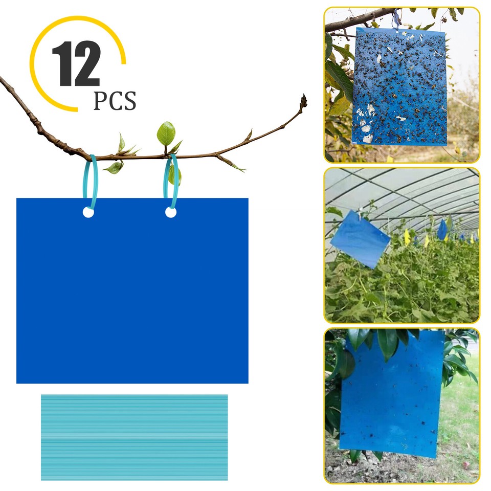 Sticky Fly Glue Trap Yellow Paper Trap Fruit Flies Insect Mosquitoes ...