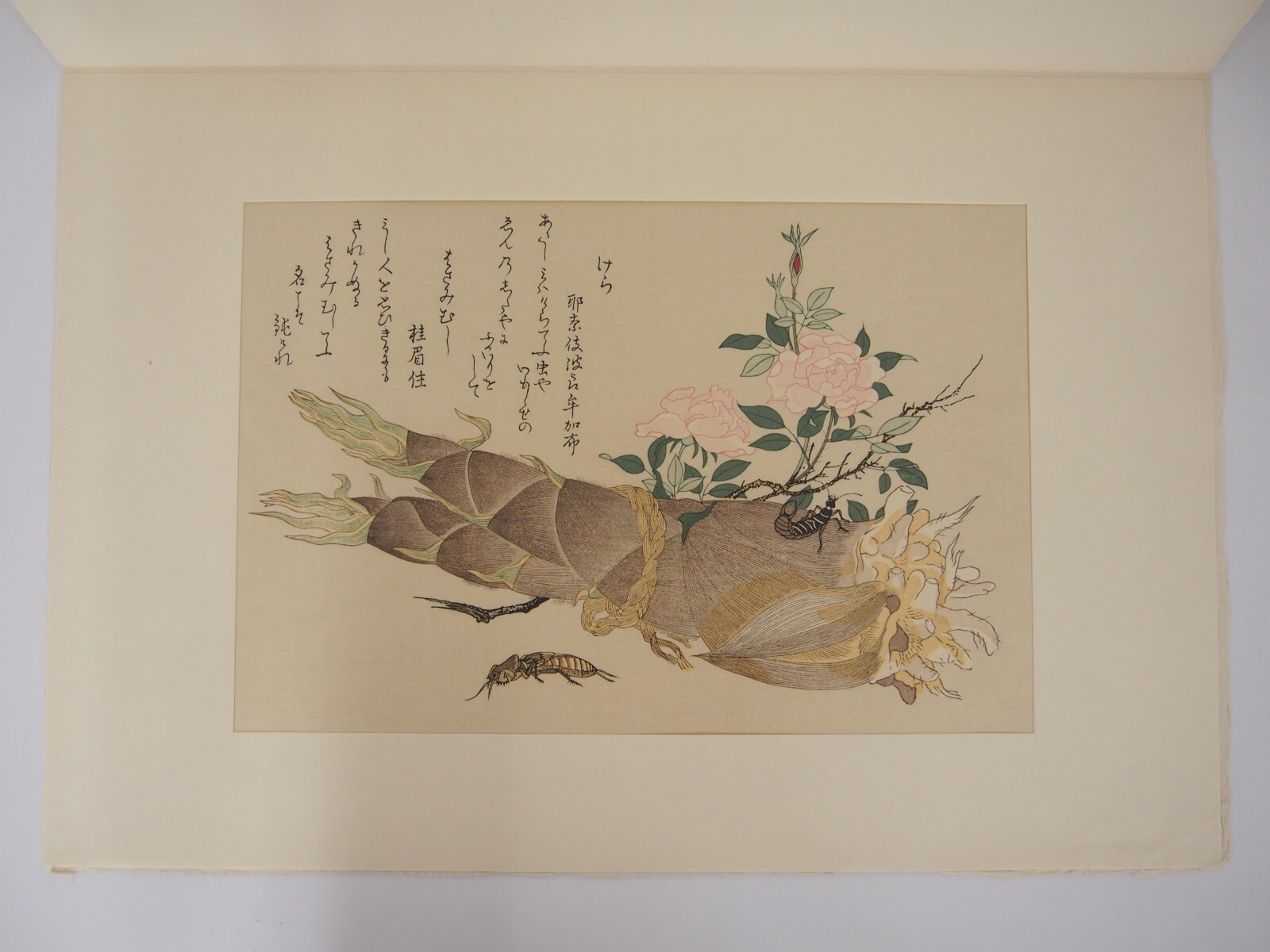 Kitagawa Utamaro Woodblock Print: Insect Masterpieces; Kera and Scissor ...