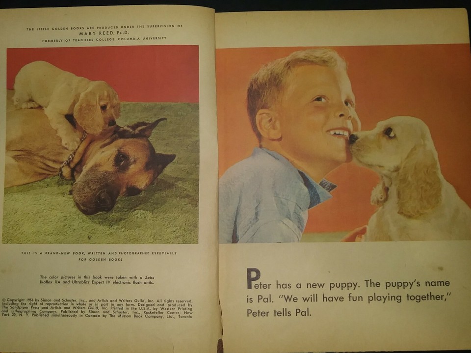 Pal and Peter by WIlliam P Gottlieb Little Golden Book Cocker Spaniel ...