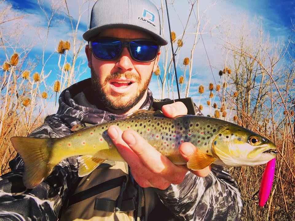 Dynamic Lures HD TROUT (Bubble Gum) Trout Fishing Lure | eBay