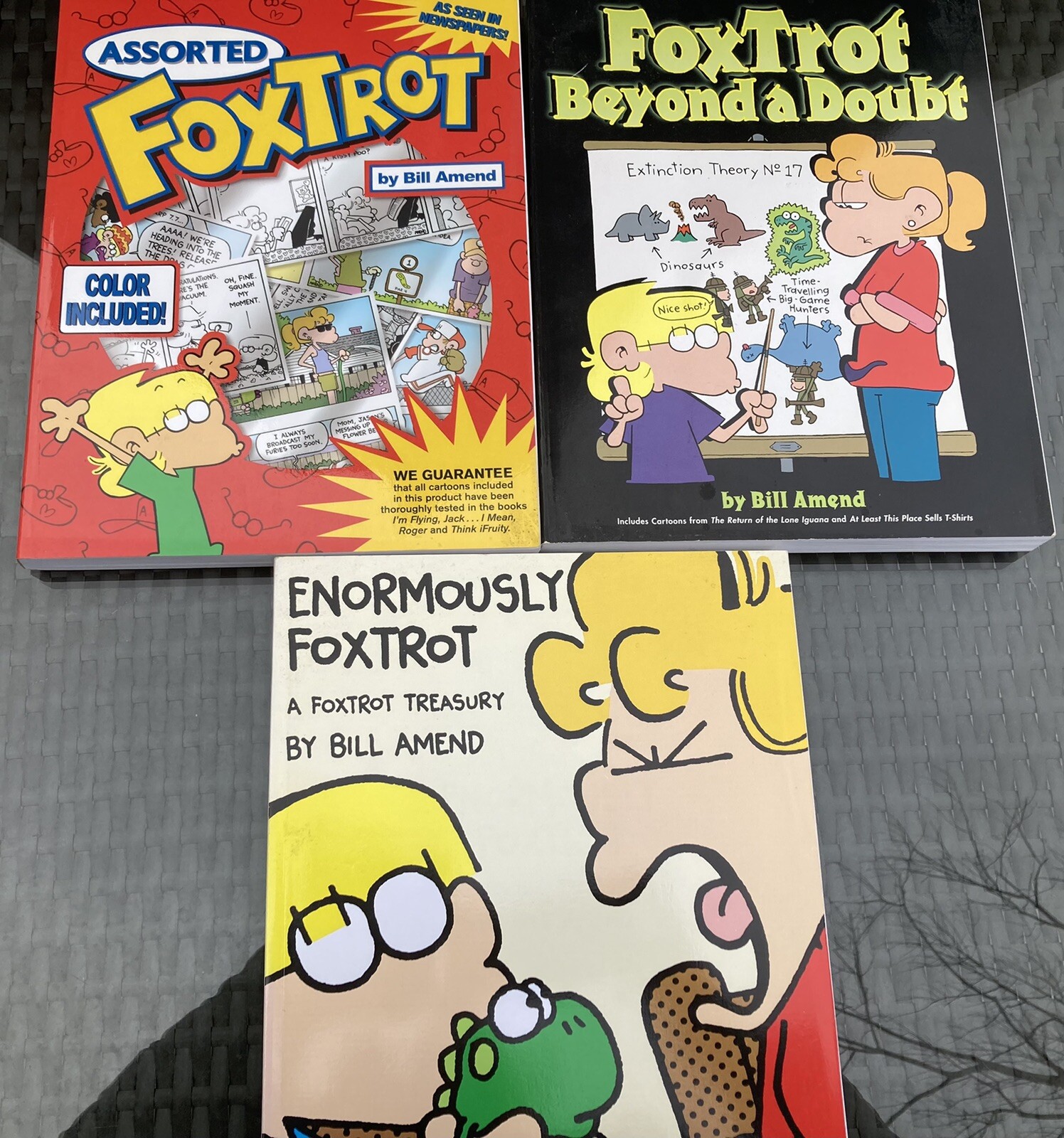 Foxtrot Bill Amend Books