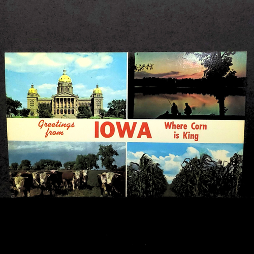 Postcard IA Greetings From Iowa Corn Is King Multiview | eBay