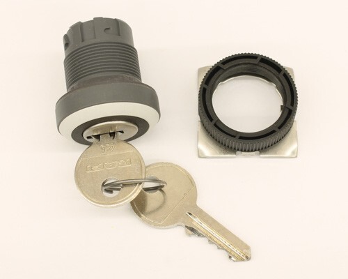 1.30245.4310800 RAFI SWITCH KEY | eBay