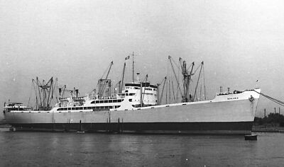 Benlarig Ship of the Ben Line Shipping Co OLD PHOTO | eBay