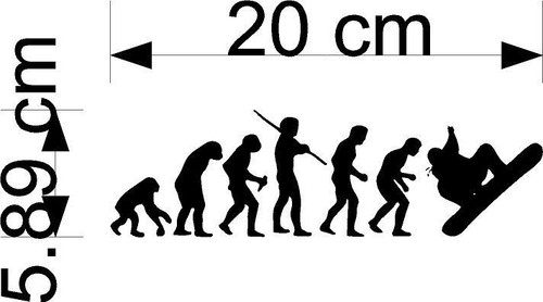 EVOLUTION, Vinyl Decal Sticker 9 Different colours available | eBay ...