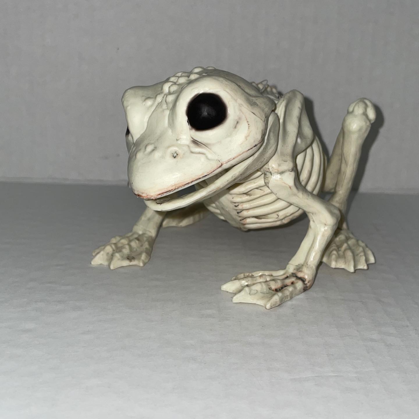 Skeleton Frog Crazy Bonez Spooky Halloween Decor Decoration Prop for ...