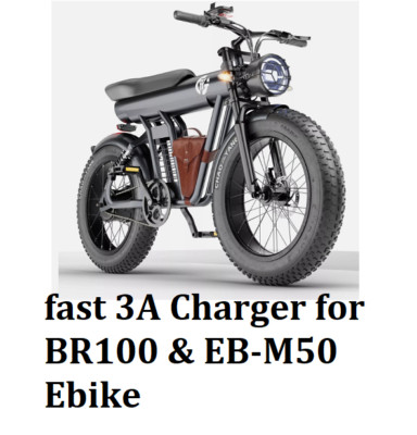 🔥ac adapter 3A fast Battery Charger for BR100 and EB-M50 electric bike ...