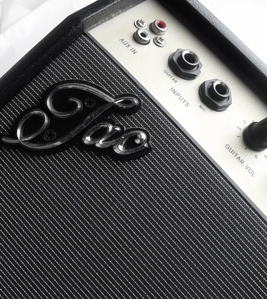 The Antcammandas Tac guitar Amplifier/Speaker | eBay