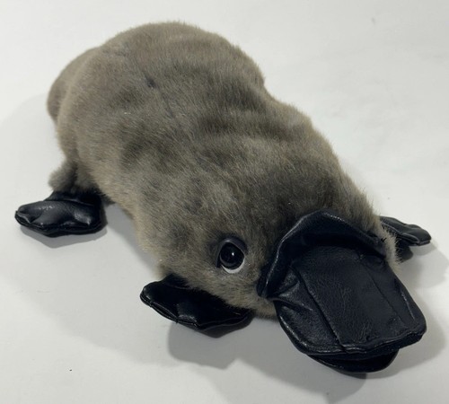 Folkmanis Baby PLATYPUS Realistic Puppet 17" Retired Stuffed Animal ...