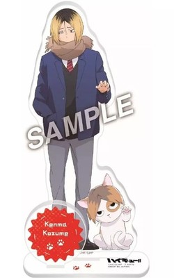 Acrylic Stand Panel Kozume Kenma Playing Mascot Plate Haikyu | eBay