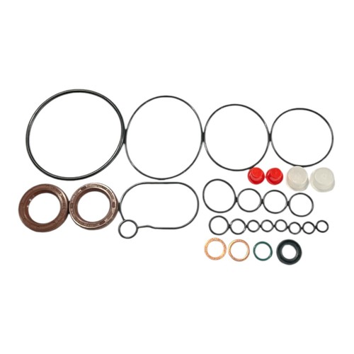 Bosch CP3 High Pressure Common Rail Diesel Pump Repair Kit F00N201973 ...