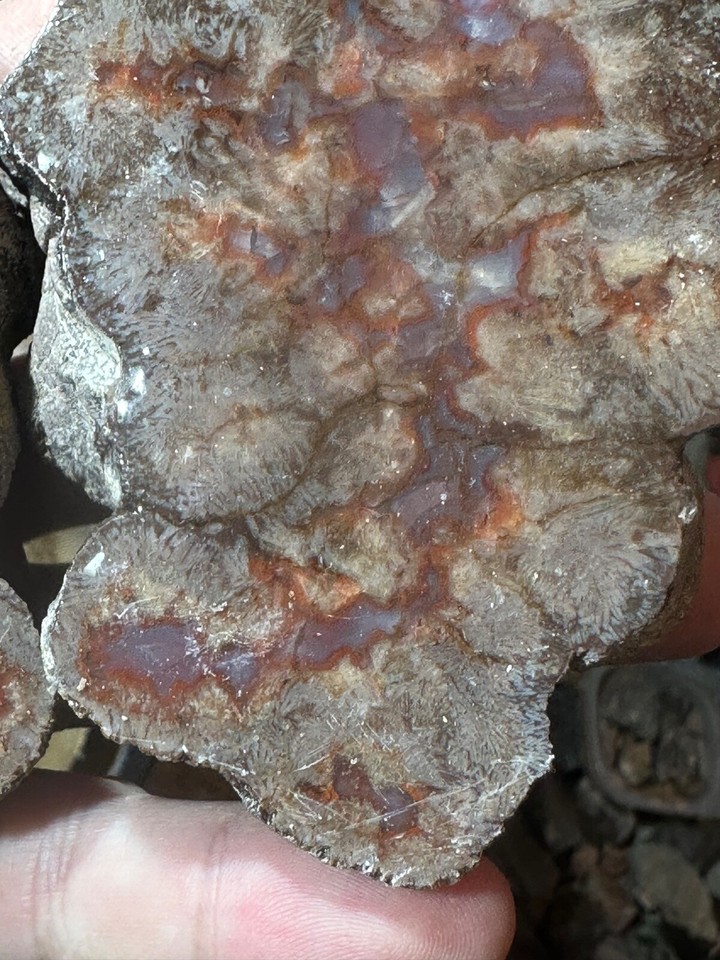 Agatized Utah Barite **hxtled nodule split. | eBay