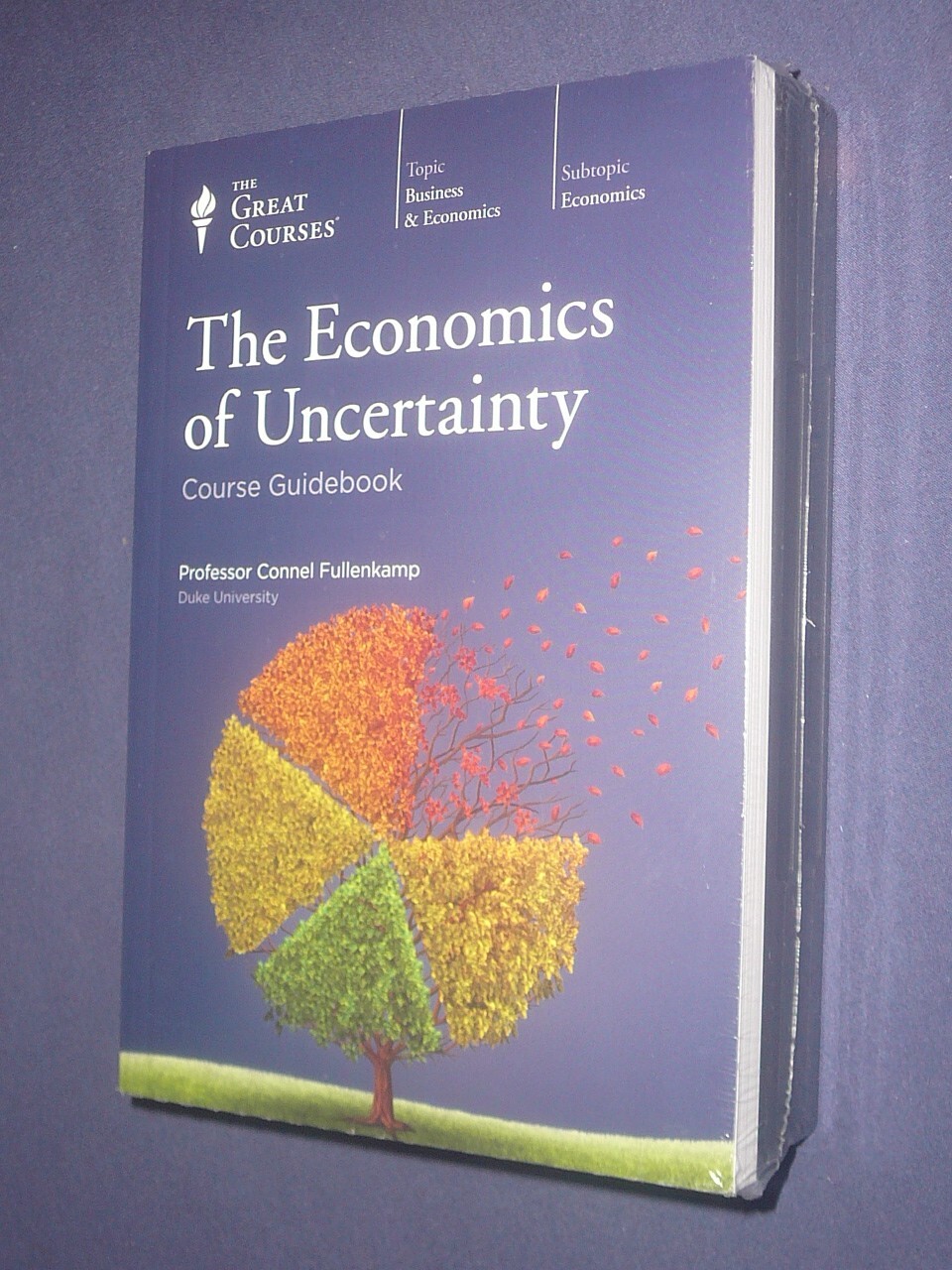 Teaching Co Great Courses CDs : THE ECONOMICS OF UNCERTAINTY sealed | eBay