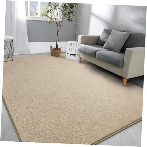 Large Area Rugs for Bedroom Living Room, 5x8 Solid Fluffy Super 5x8 ...