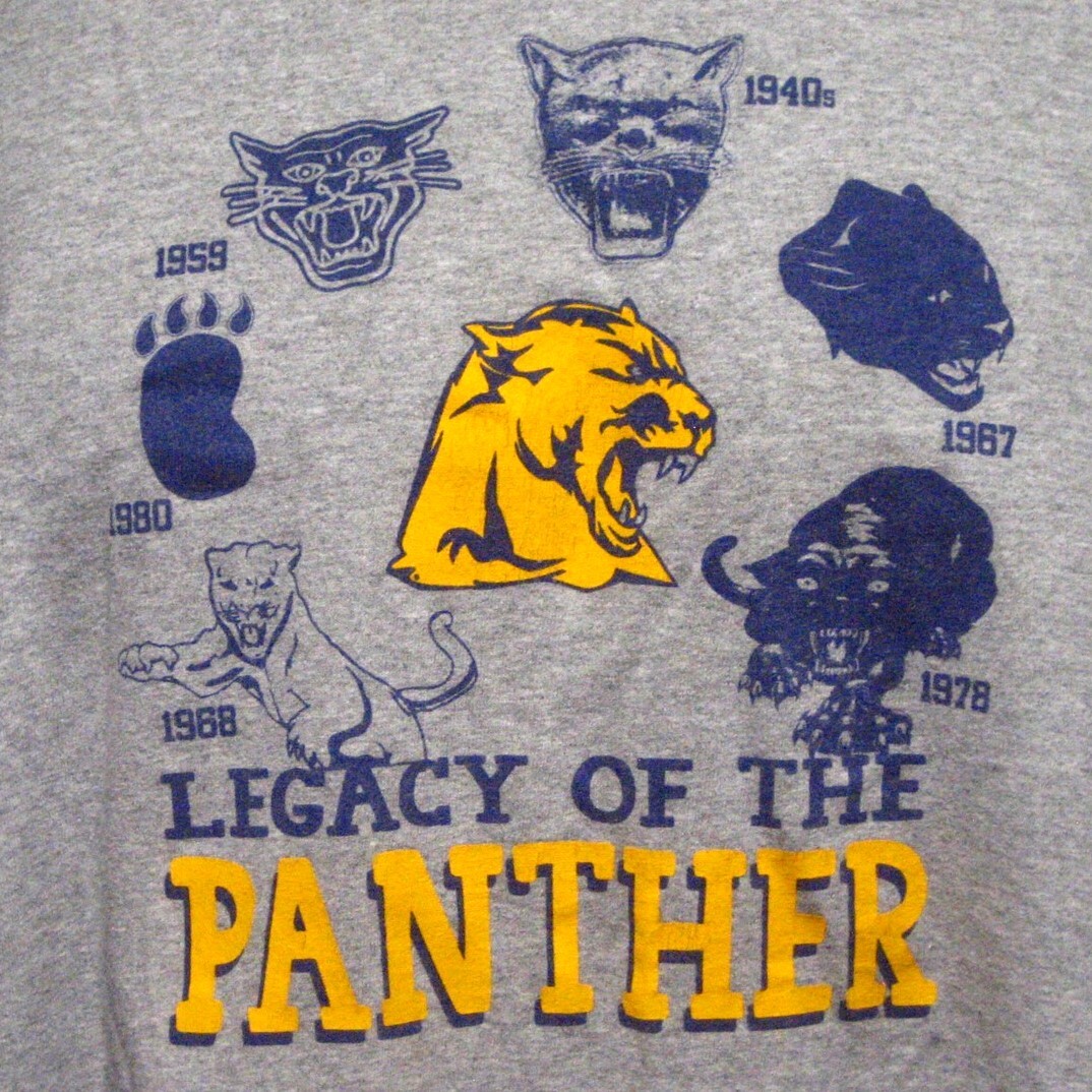 Whitmer Panthers Logo