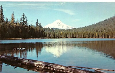 Mt. Hood, Oregon, Towers 11,245 Feet Above Frog Lake Postcard | eBay